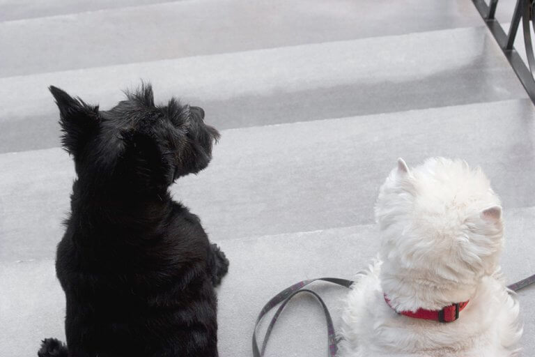 Antibes, France by Cattie Coyle Photography