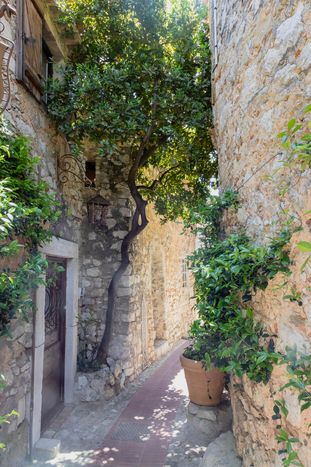 Village of Eze, France, by Cattie Coyle Photography